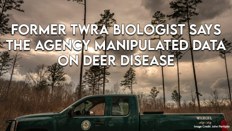 Former TWRA Biologist Says The Agency Manipulated Data On Deer Disease ...