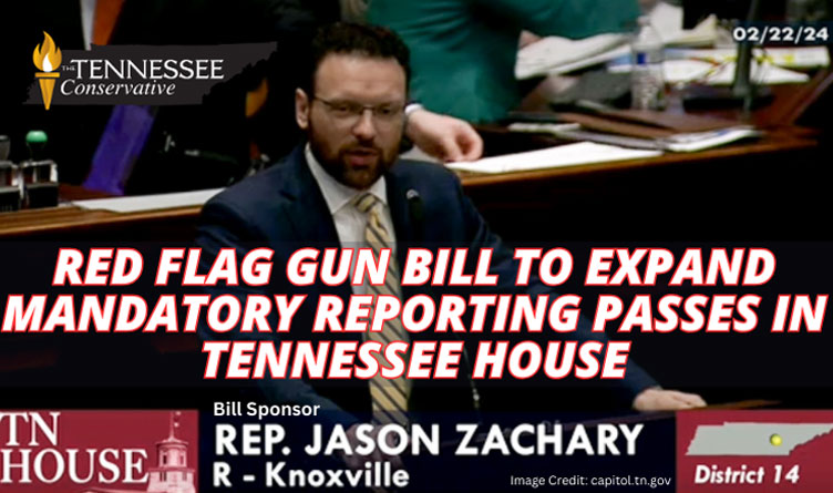 Red Flag Gun Bill To Expand Mandatory Reporting Passes In Tennessee ...