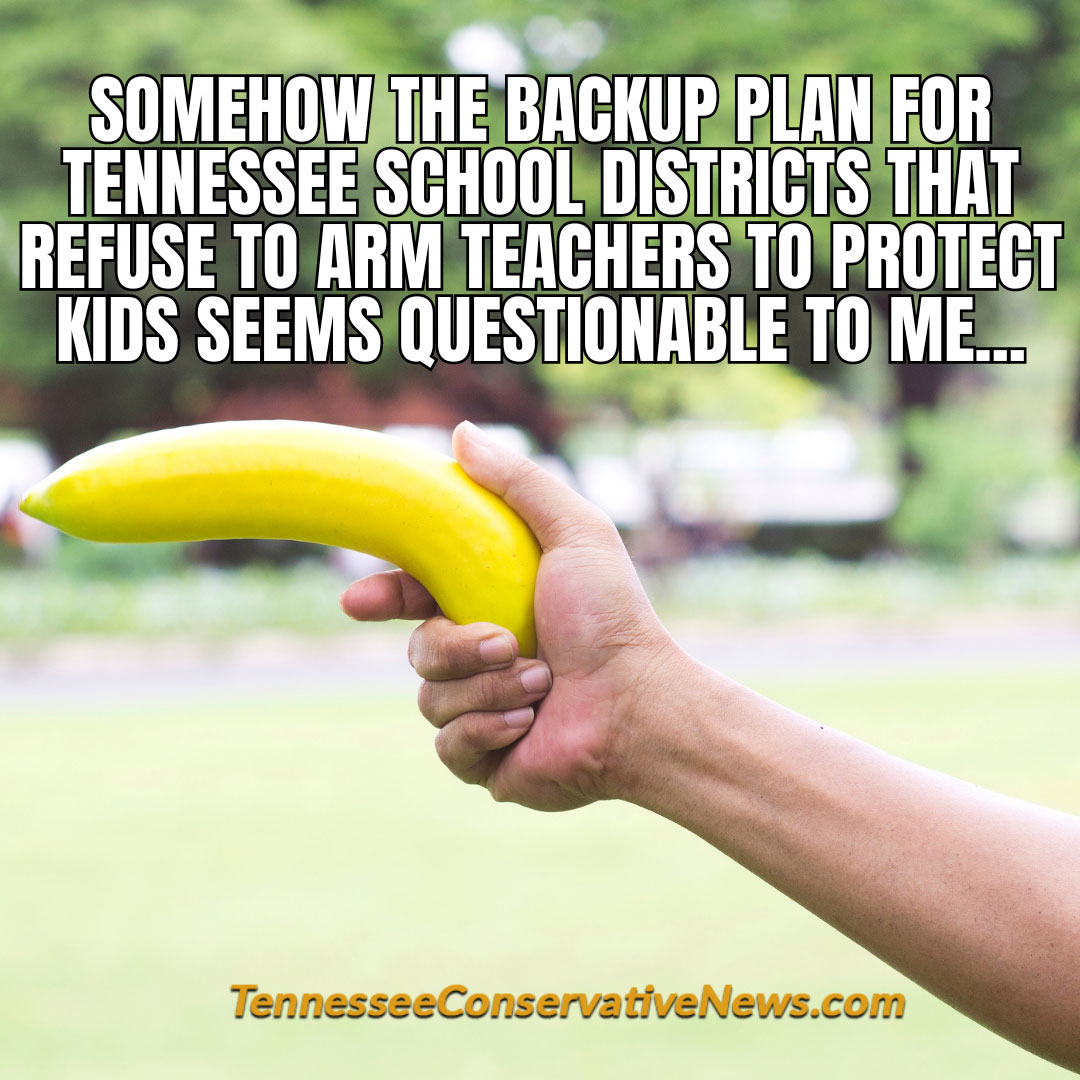 Questionable Backup Plans... | Tennessee Conservative